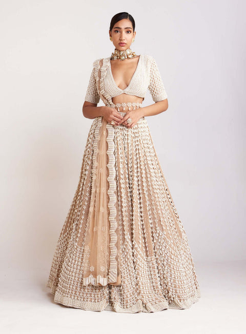 Vvani By Vani Vats | Beige Chandelier Pearl Lehenga Set | INDIASPOPUP.COM